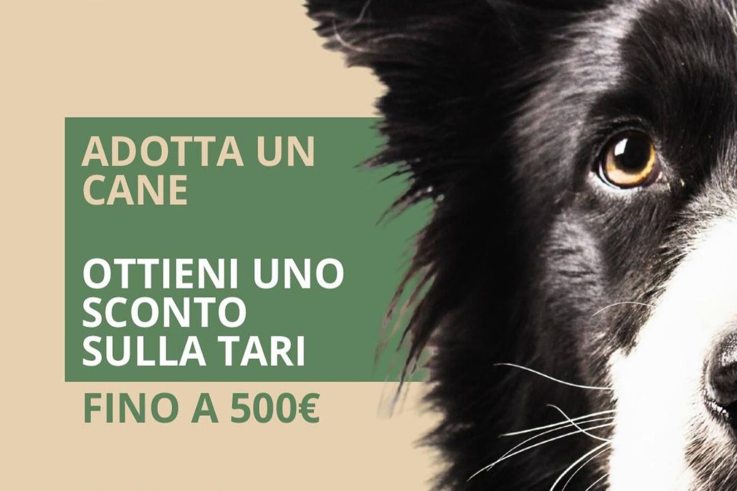 Milena. In Consiglio comunale modifica al regolamento della Tari: 500 ...