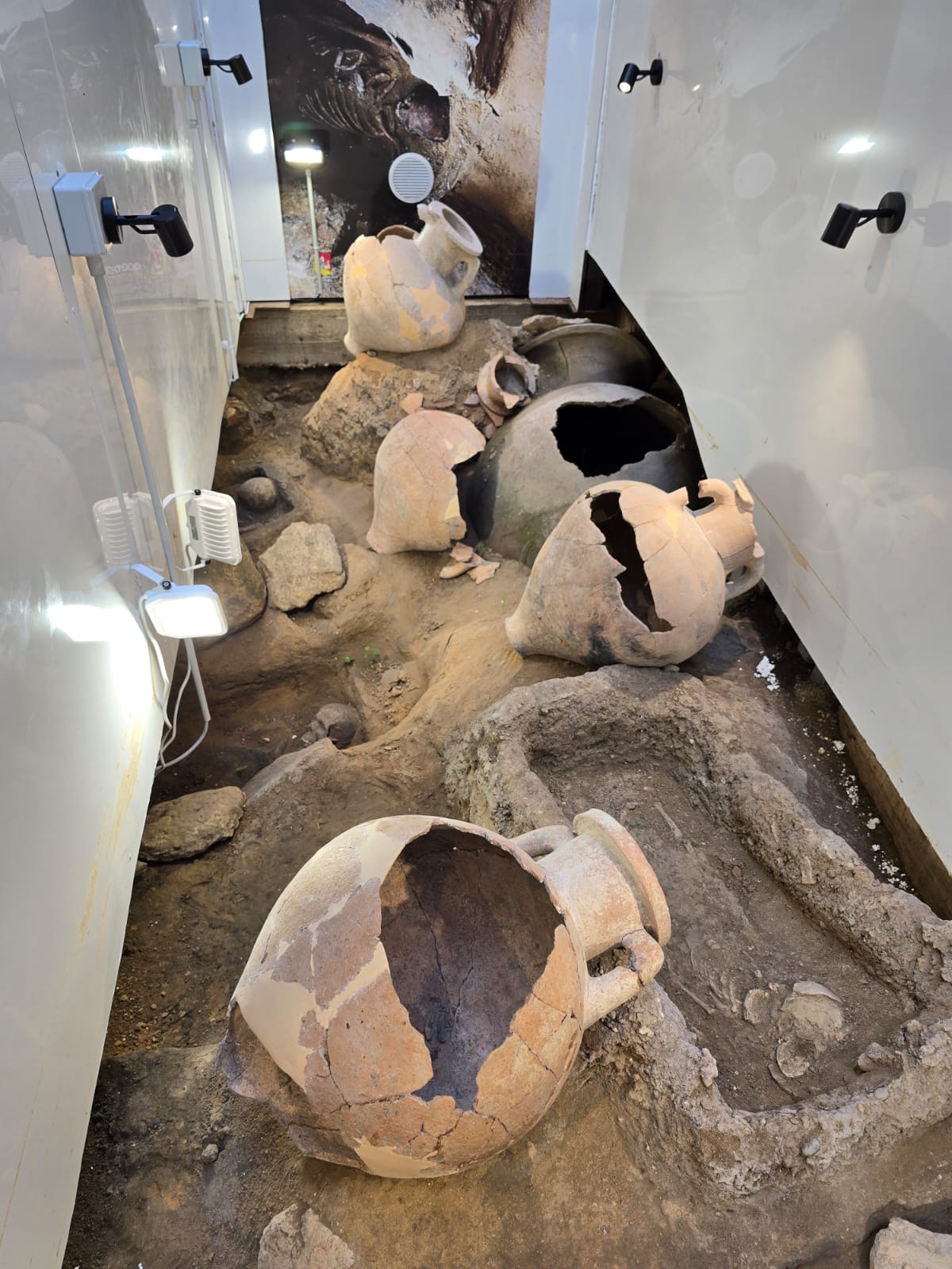 Gela. Museo a cielo aperto di via Di Bartolo, Scarpinato: "Un tesoro ...