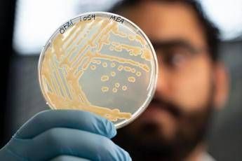 Mappato il microbioma di Ötzi l'uomo dei ghiacci. La scoperta: super ...